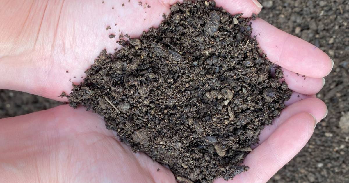 Turf Soil | Sharecost Rentals & Sales