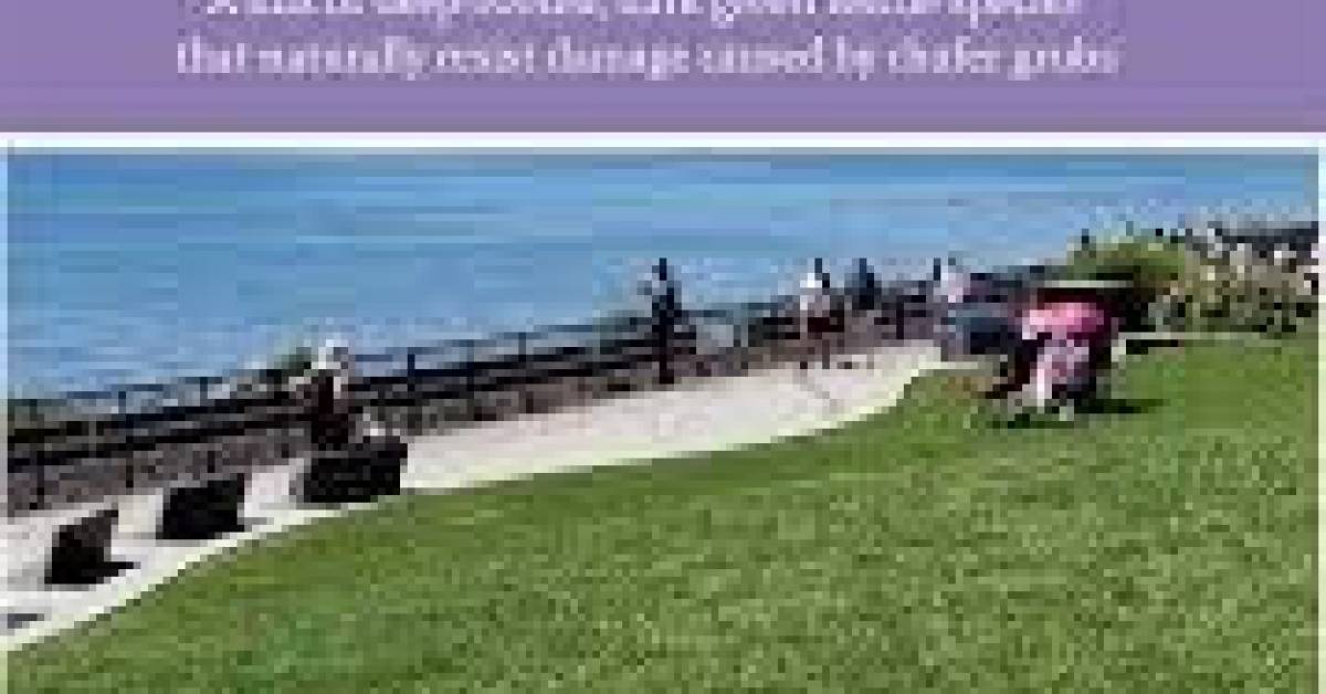 Drought Smart- Grass Seed 2kg | Sharecost Rentals & Sales